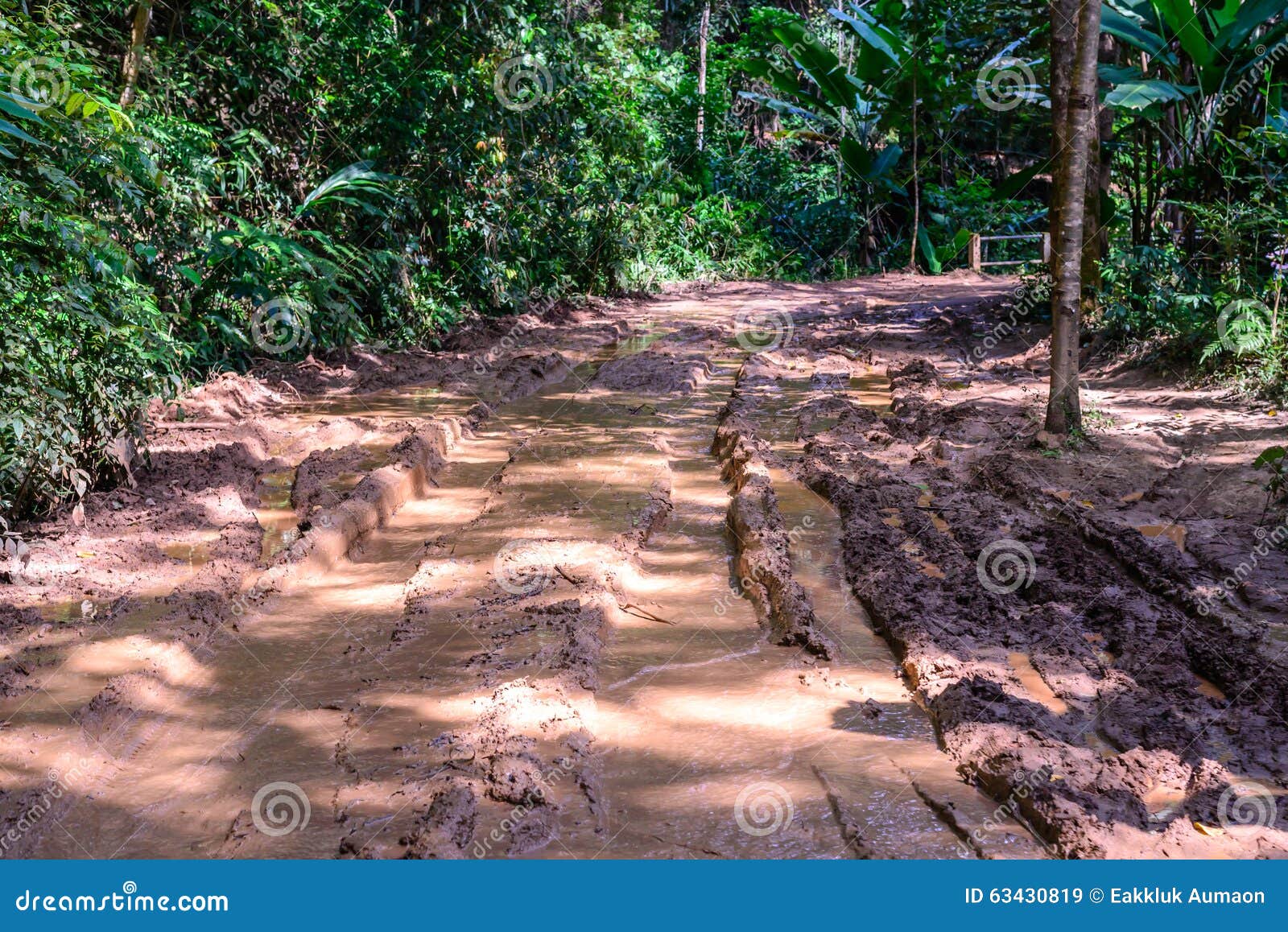 Muddy road in rain forest stock image. Image of countryside - 63430819