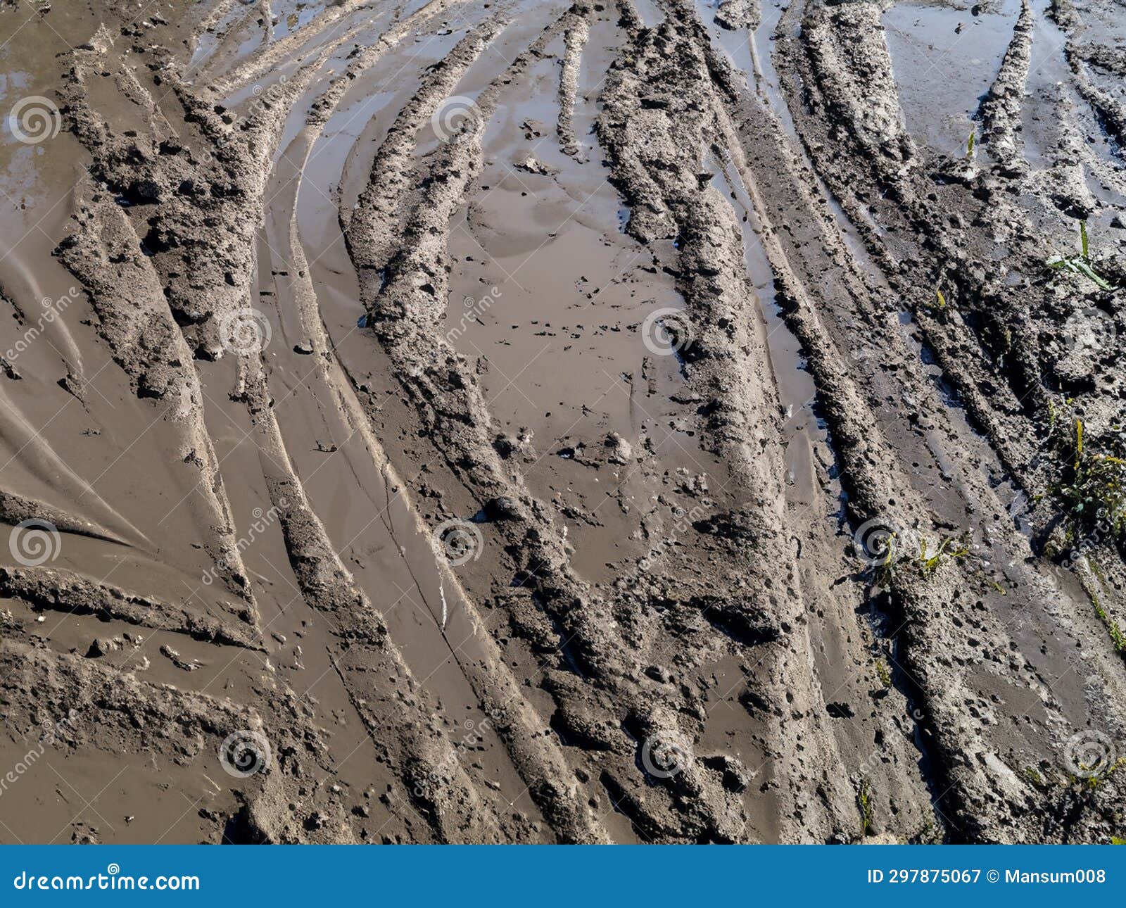 Muddy road in the rain stock illustration. Illustration of drive ...
