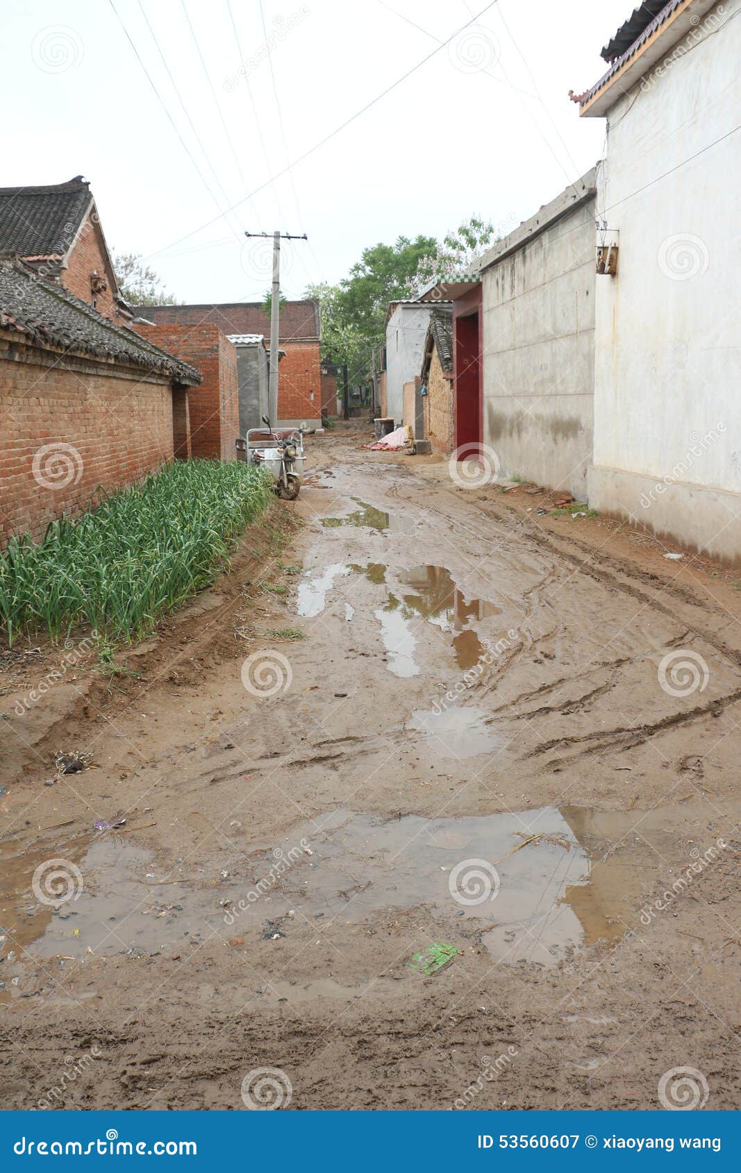 Muddy road stock image. Image of rain, village, road - 53560607