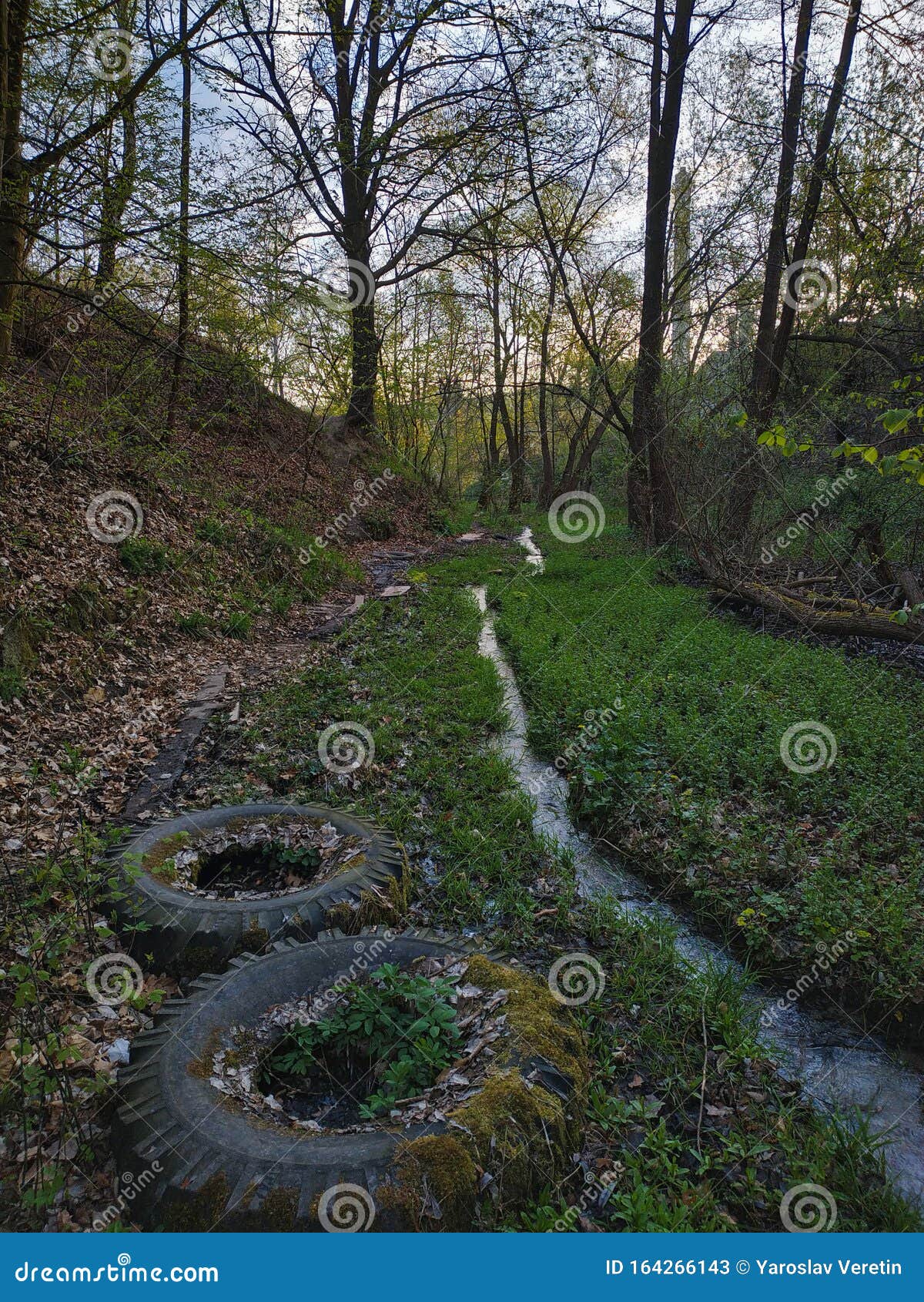 Muddy Road in Rural Path at the Forest with Creek Stock Image - Image ...