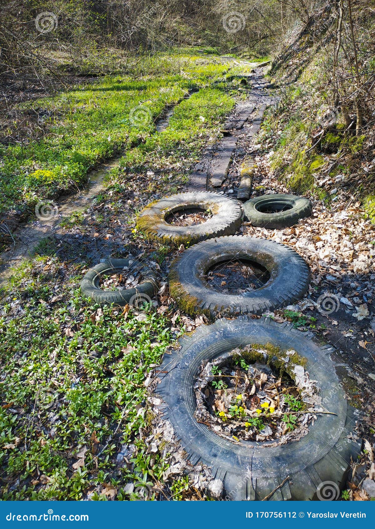 Muddy Road in Rural Path at the Forest with Creek Stock Photo - Image ...