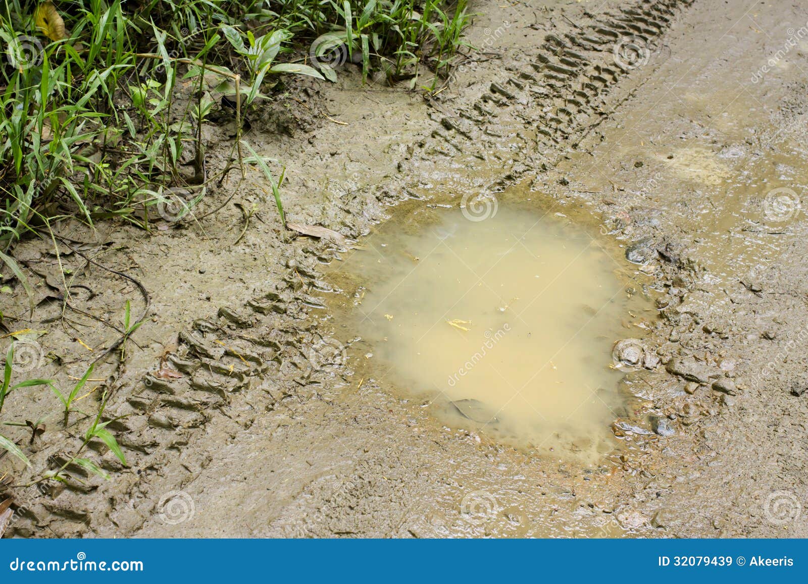 Muddy road stock image. Image of muddy, pattern, texture - 32079439