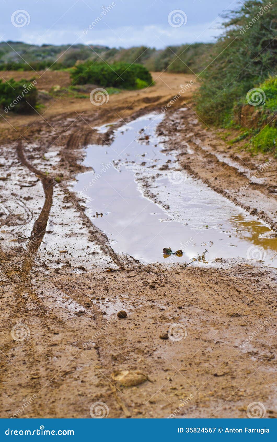 Muddy Road
