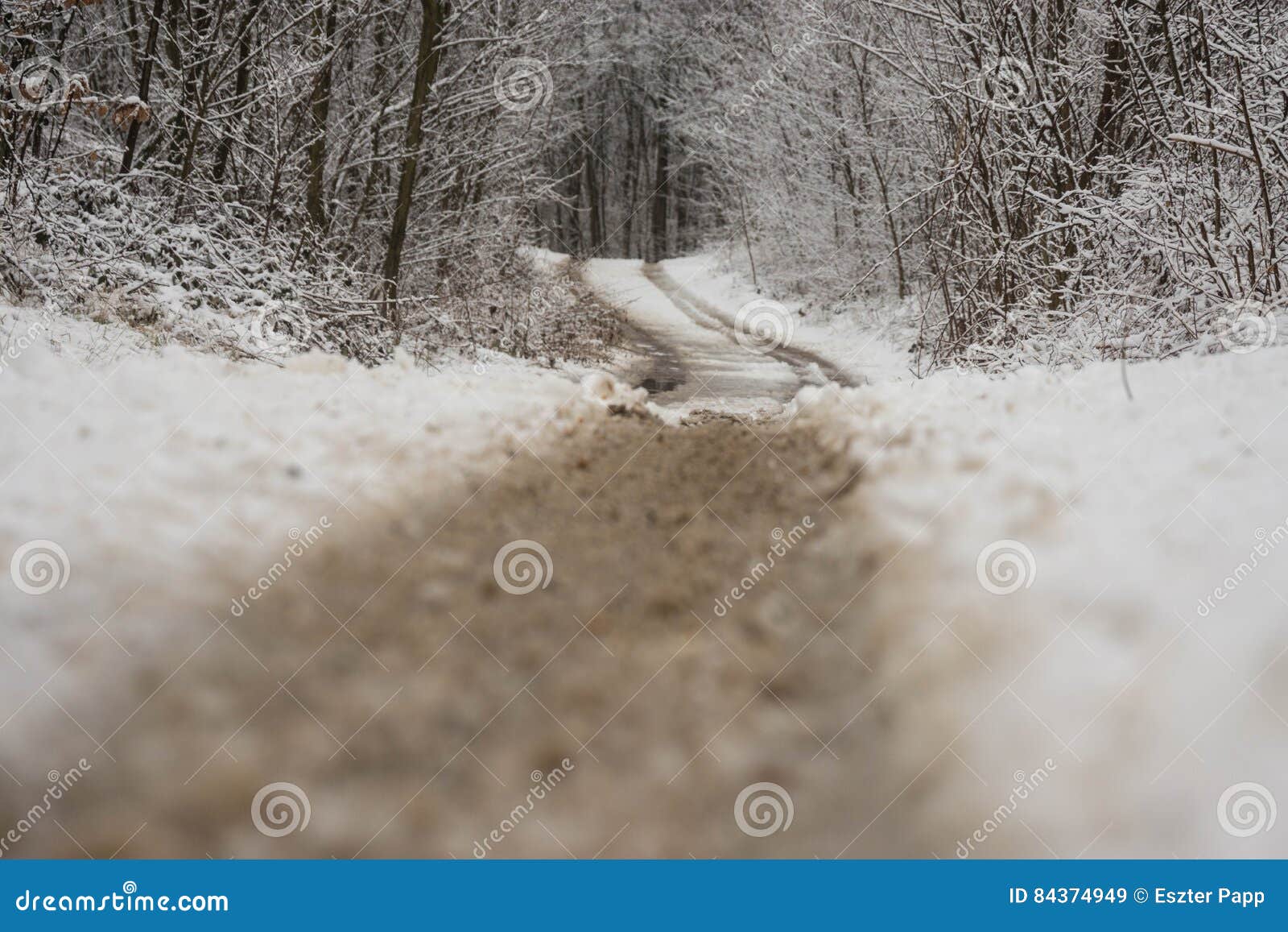 Muddy road in winter stock image. Image of muddy, scenery - 84374949
