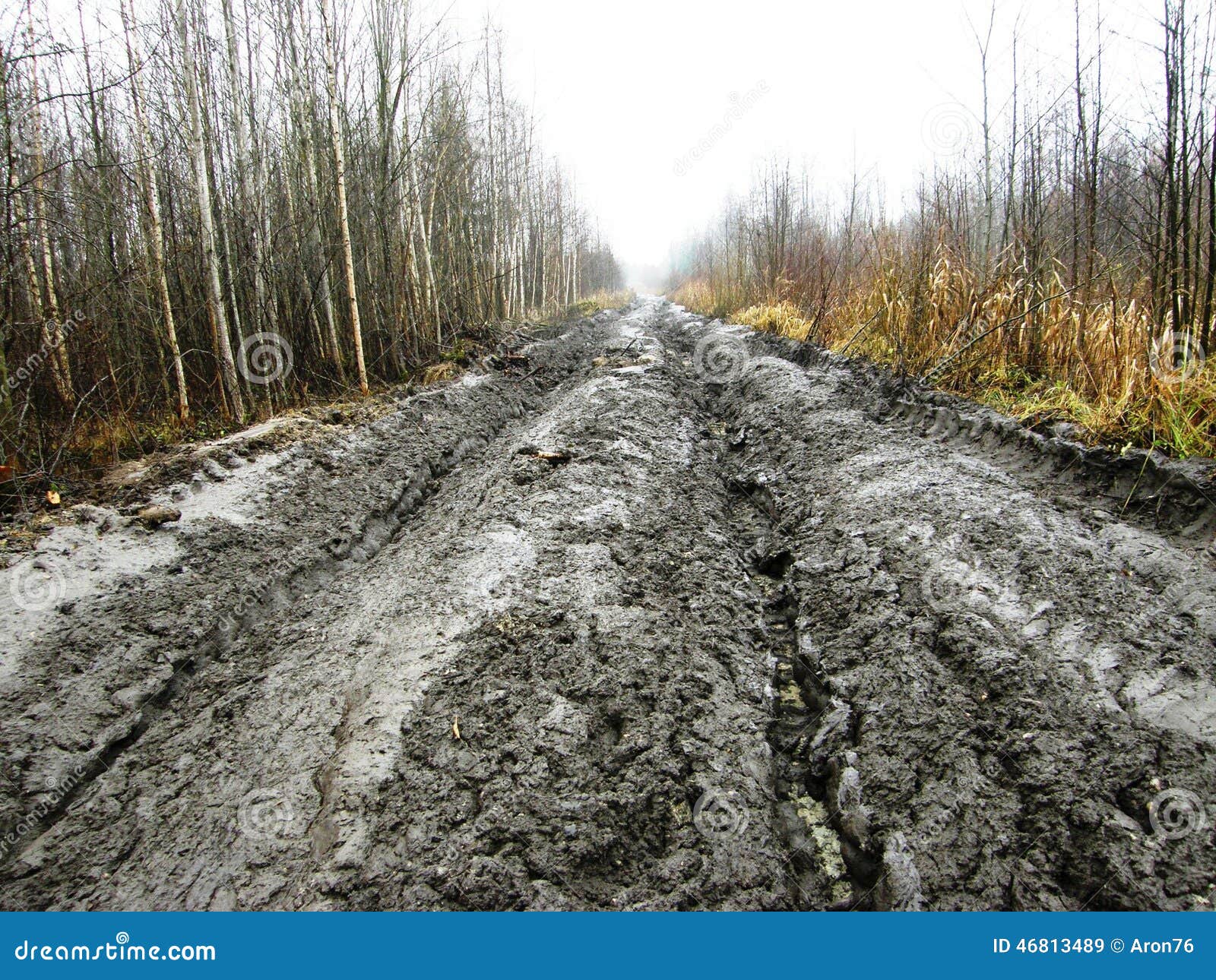 Muddy road stock image. Image of difficult, transportation - 46813489