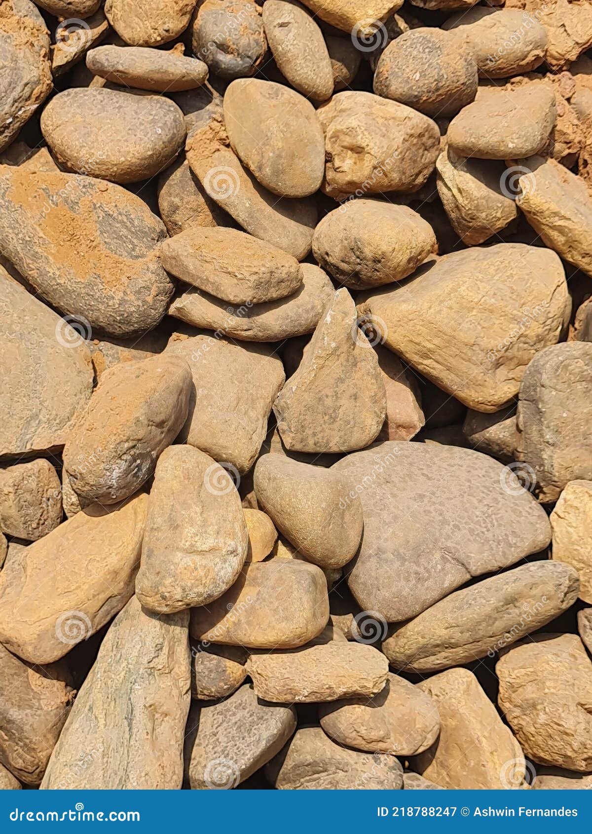 Muddy Rocks Stone stock image. Image of rocks, pebbles - 218788247