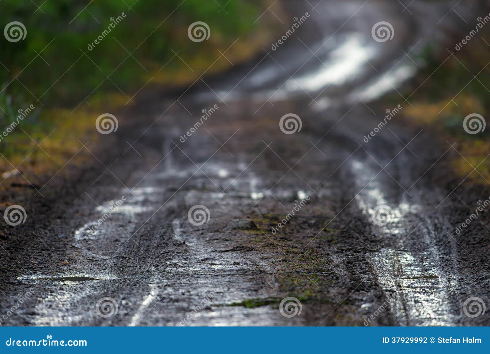 1,954 Muddy Bush Stock Photos - Free & Royalty-Free Stock Photos from ...