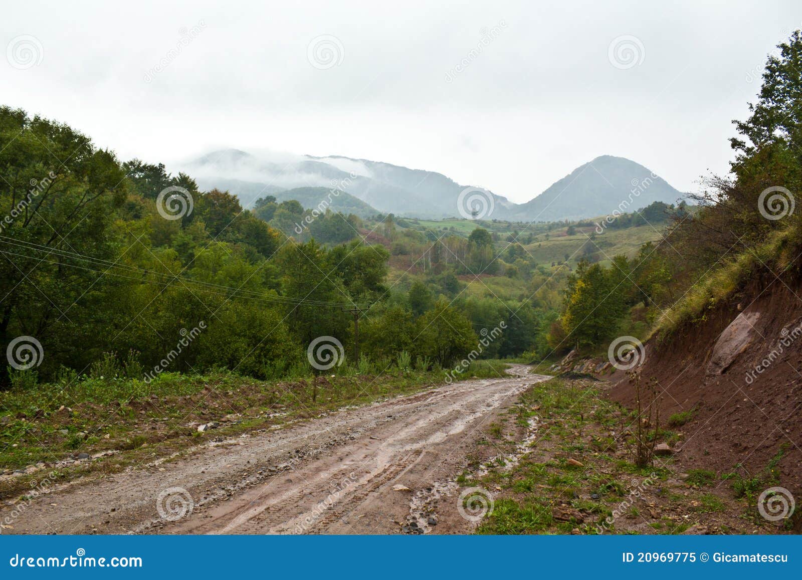 Muddy rural road stock image. Image of tourist, ordinary - 20969775
