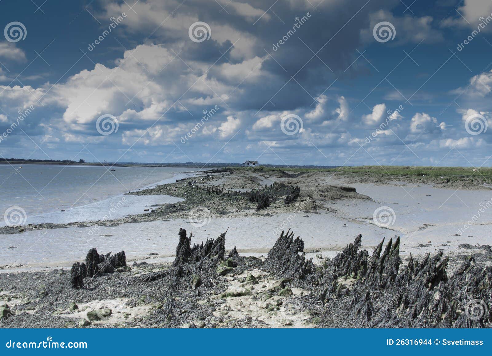 Muddy shore and cloudy sky stock photo. Image of seaweeds - 26316944