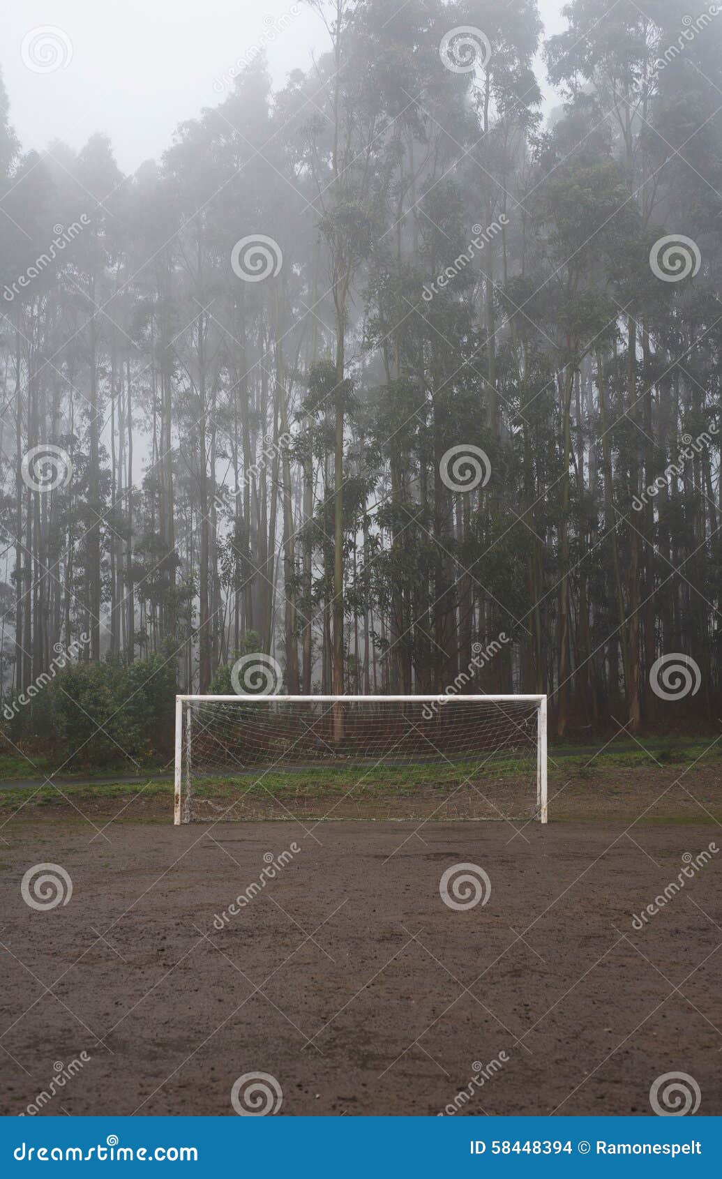Muddy soccer field stock photo. Image of background, abstract - 58448394