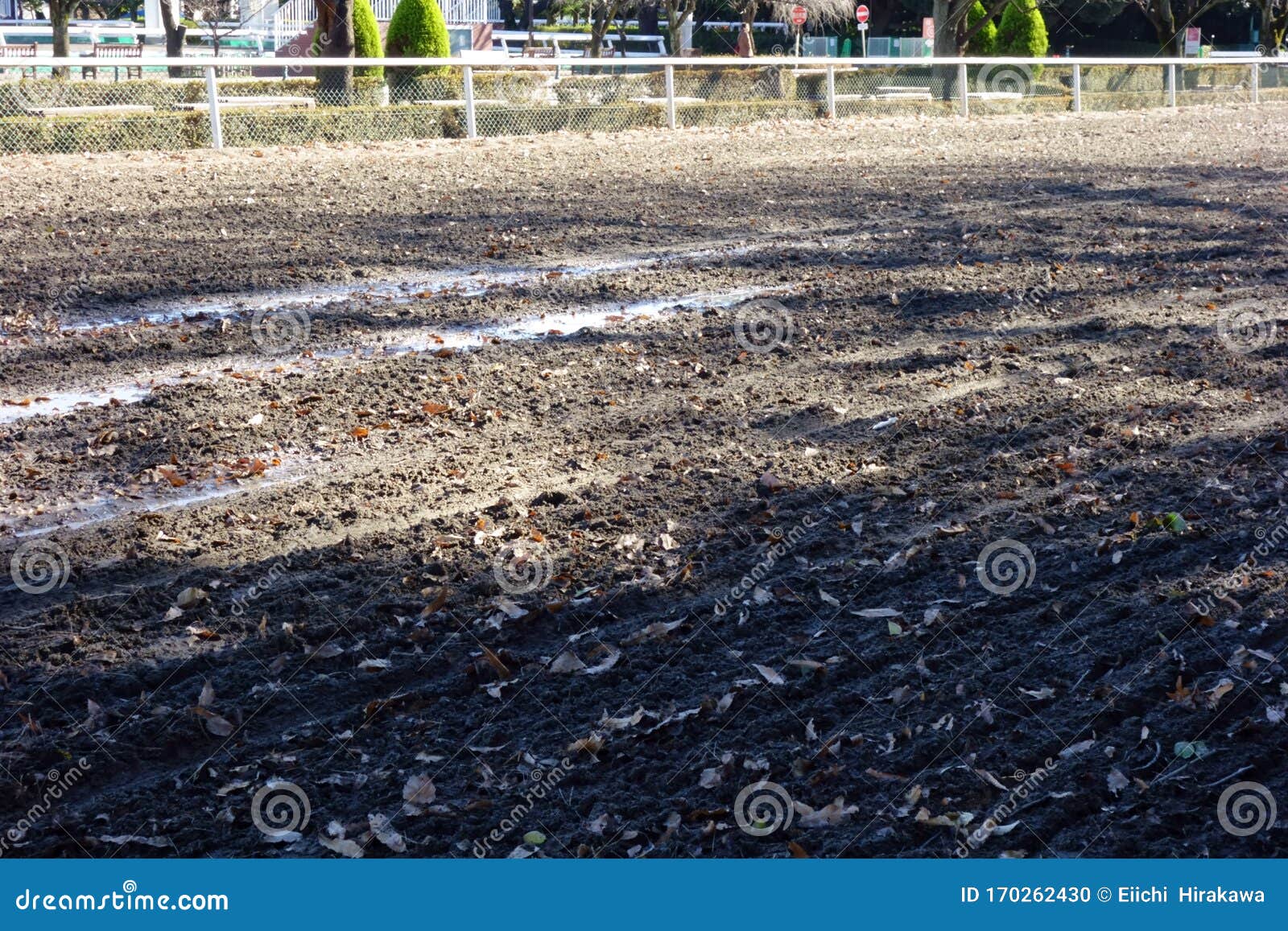Muddy soil pattern stock photo. Image of graphic, muddy - 170262430