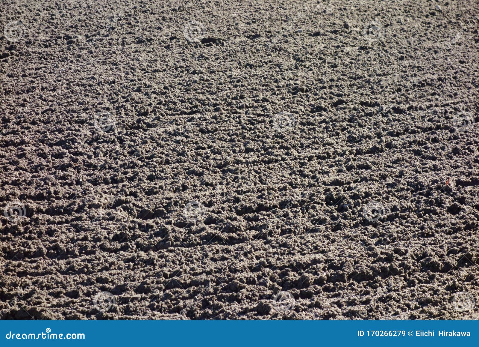 Muddy soil pattern stock image. Image of muddy, grey - 170266279