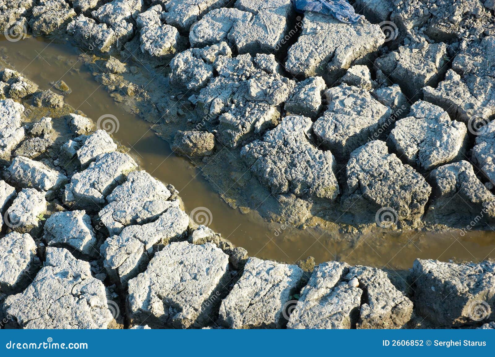 Muddy Spring On Dried Dirt Picture. Image: 2606852