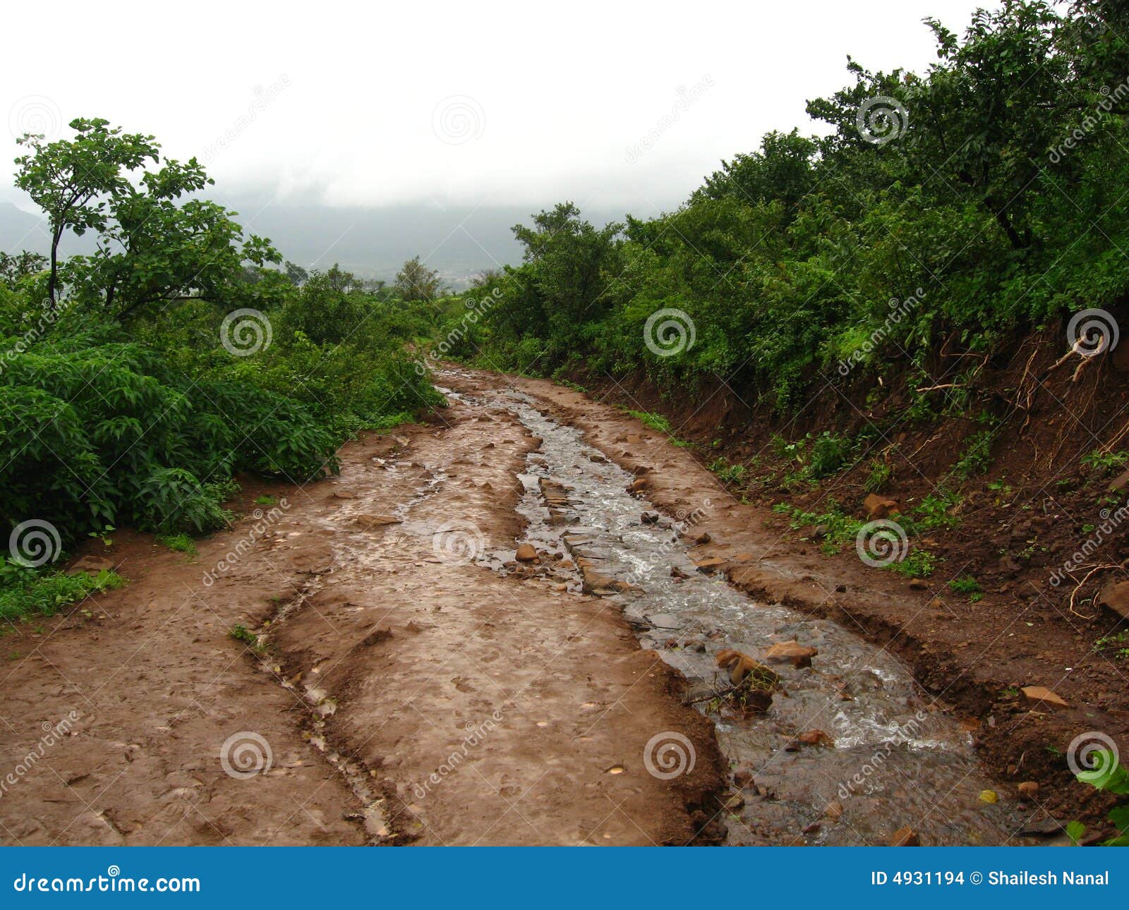 Muddy stream and dirt road stock photo. Image of tropical - 4931194