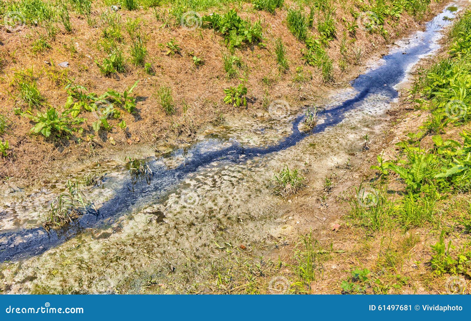 Muddy stream stock image. Image of weeds, stream, slack - 61497681