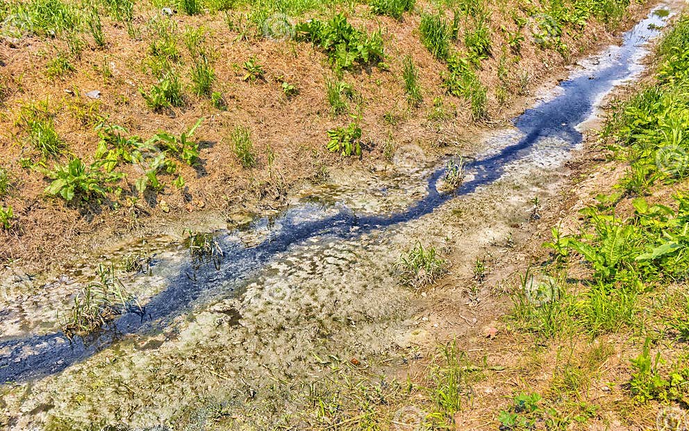 Muddy stream stock image. Image of weeds, stream, slack - 61497681
