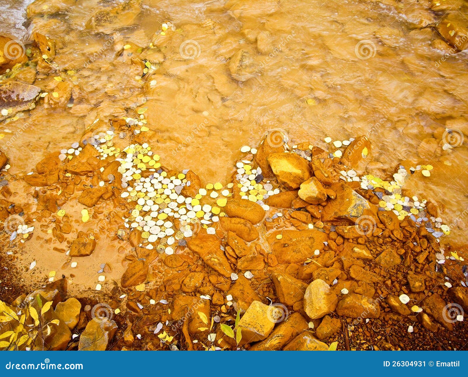 Muddy Stream with Yellow Aspen Leaves Stock Image - Image of famous ...