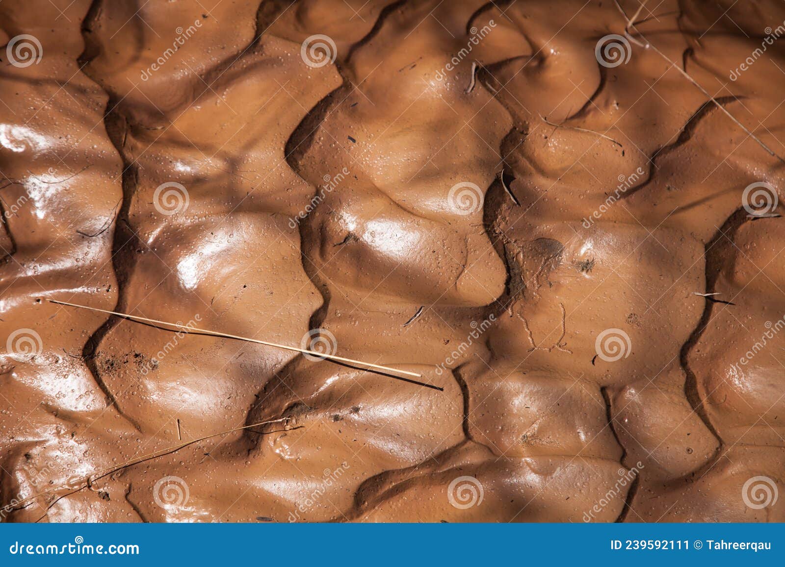 Muddy Texture after Drying of Stream Stock Image - Image of organ ...