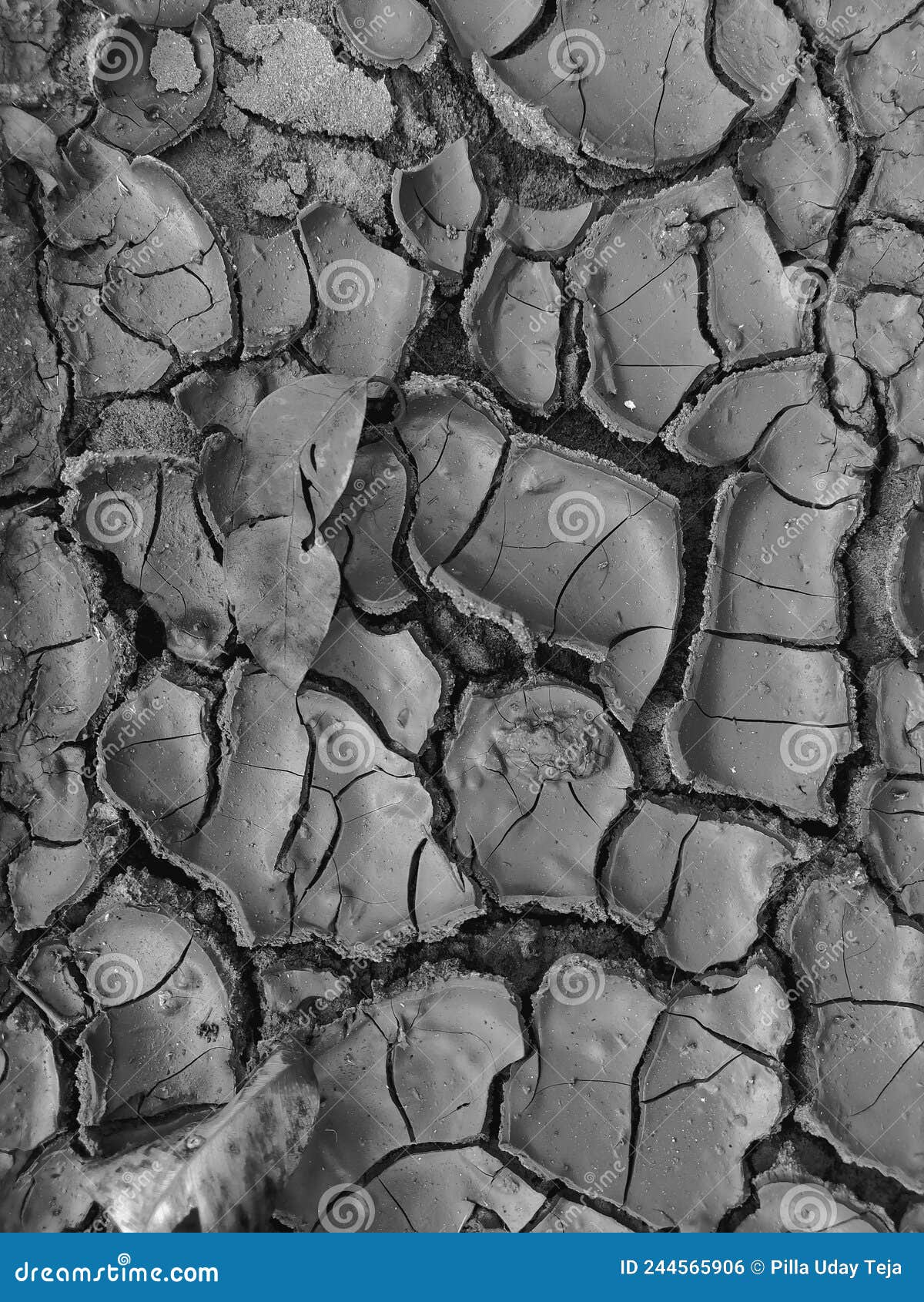 Muddy Texture after Drying of Stream Stock Photo - Image of nature ...