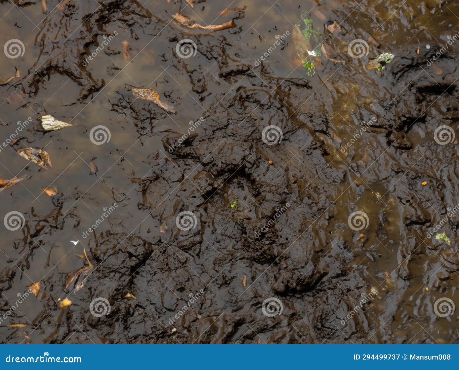 Muddy Texture with the Surface of the River Stock Image - Image of ...
