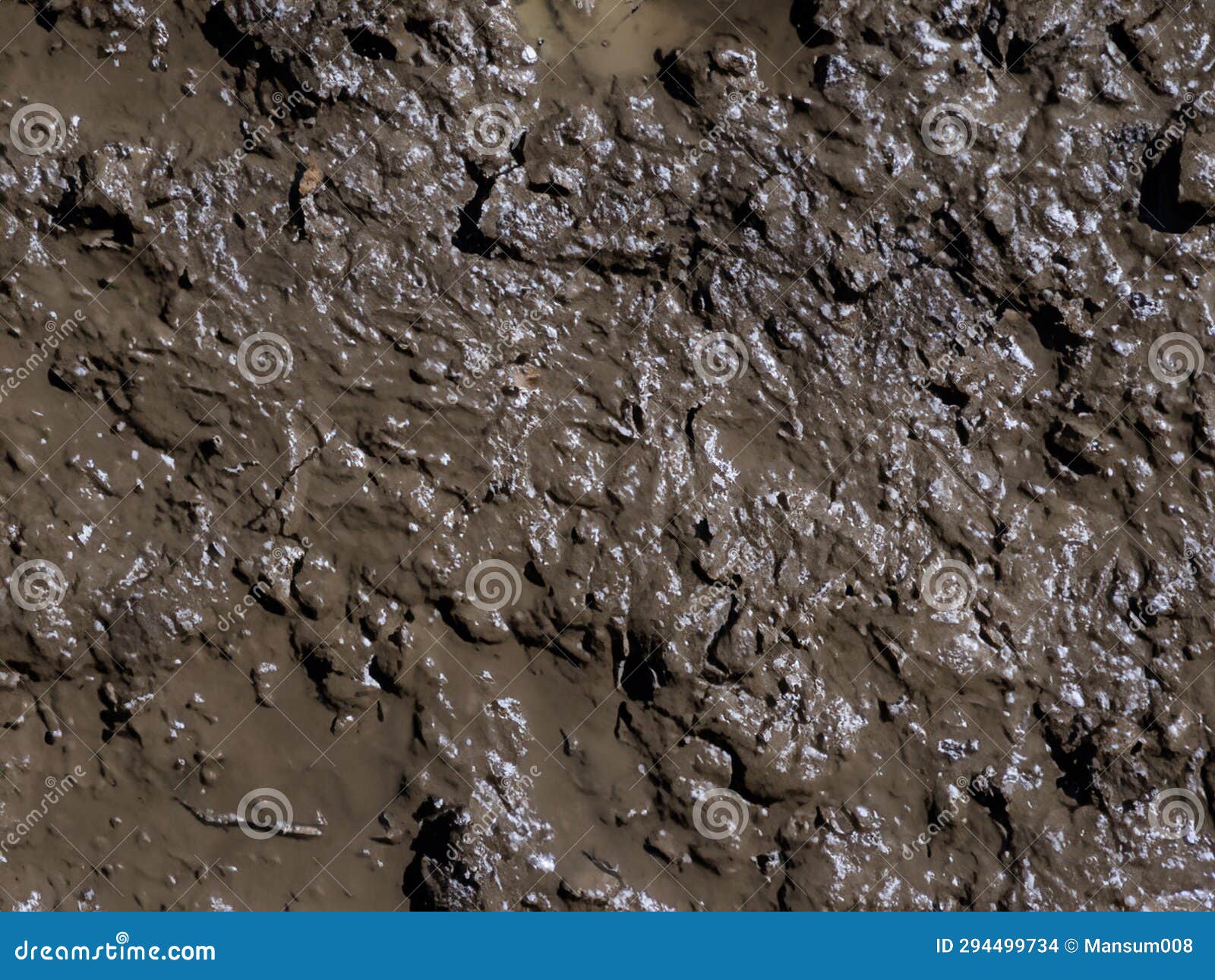 Muddy Texture with the Surface of the River Stock Photo - Image of ...