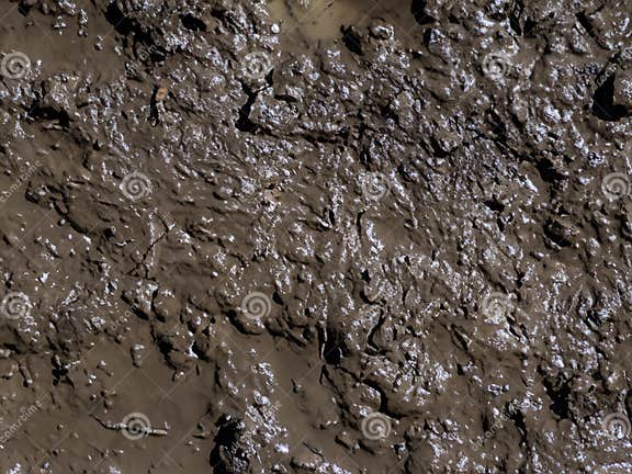 Muddy Texture with the Surface of the River Stock Photo - Image of ...