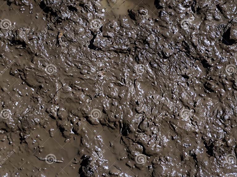 Muddy Texture with the Surface of the River Stock Photo - Image of ...