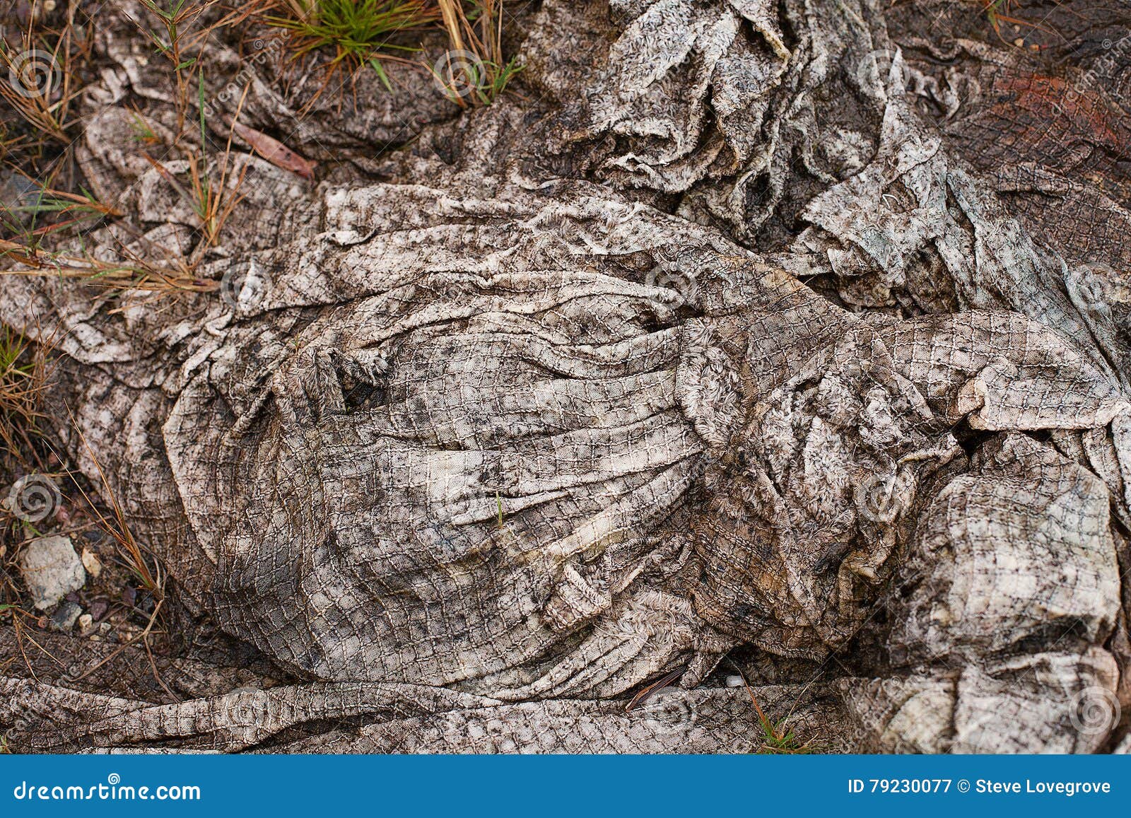 Muddy Textured Cloth on the Ground Stock Image - Image of muddy ...