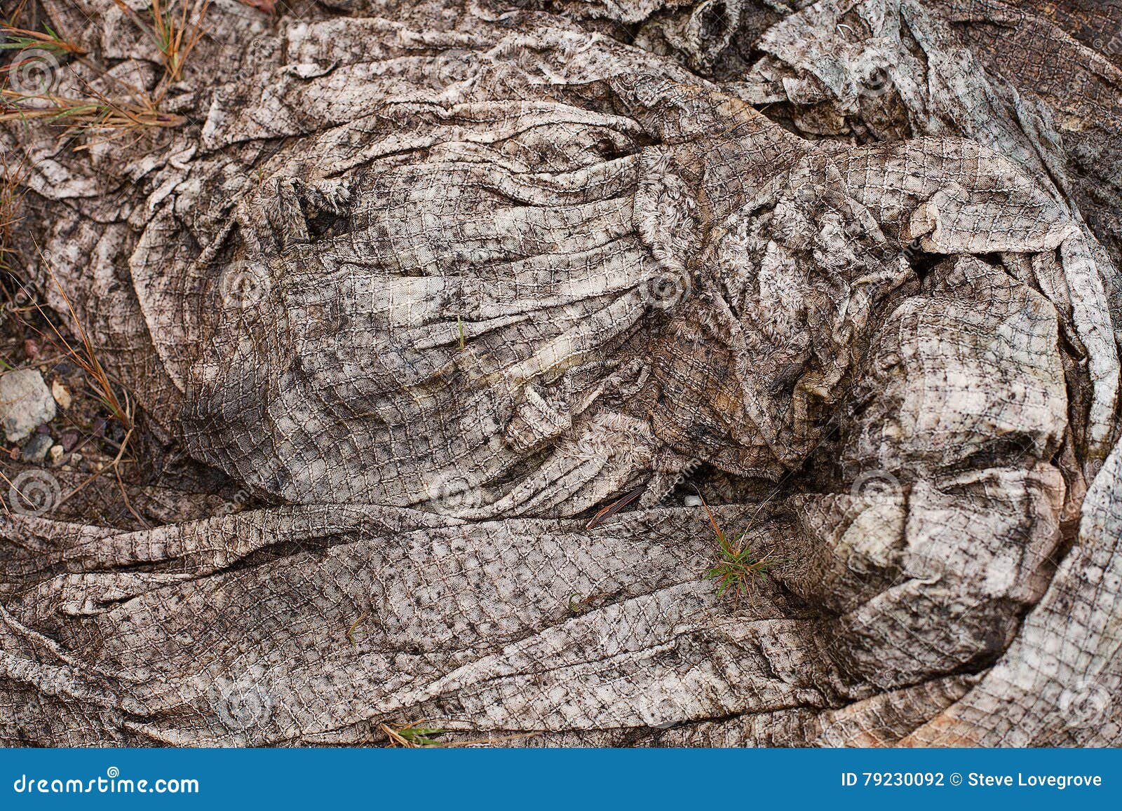 Muddy Textured Cloth on the Ground Stock Photo - Image of material ...