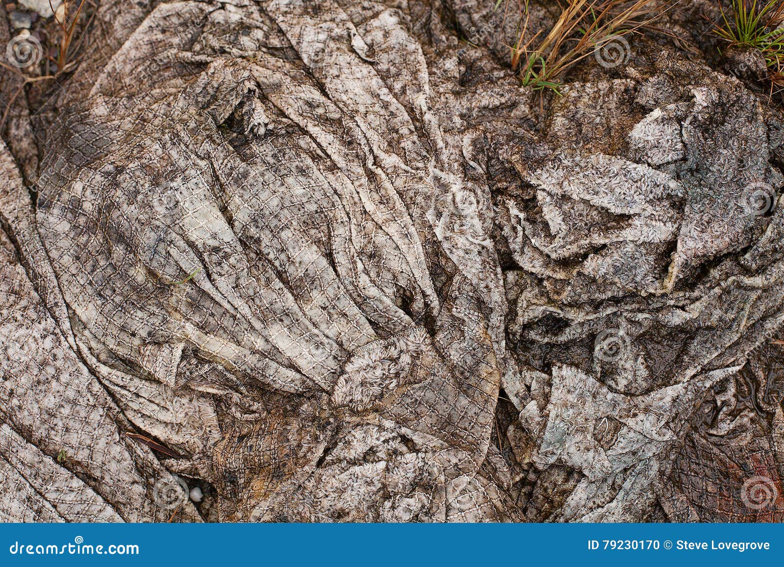 Muddy Textured Cloth on the Ground Stock Photo - Image of rotting ...