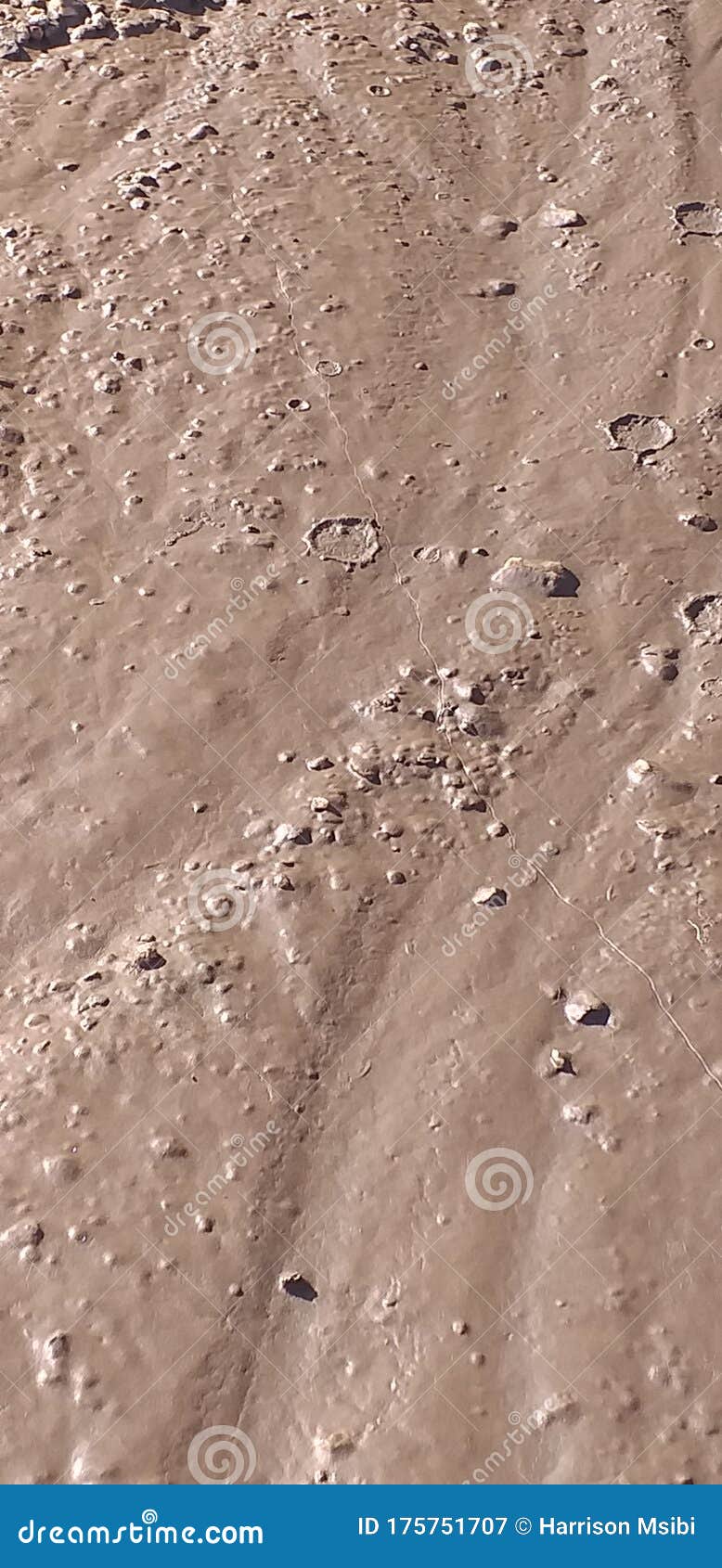 Muddy top soil stock image. Image of nature, muddy, river - 175751707