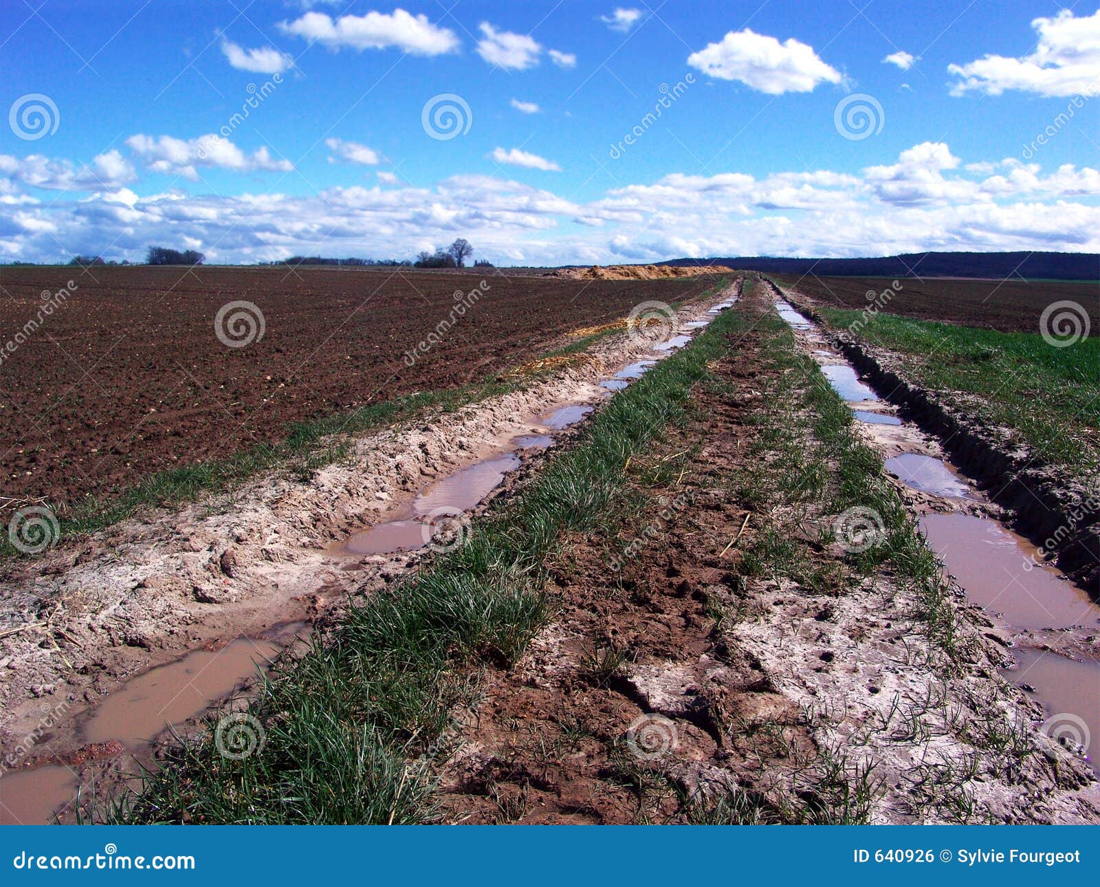 Muddy track in countryside stock photo. Image of puddles - 640926