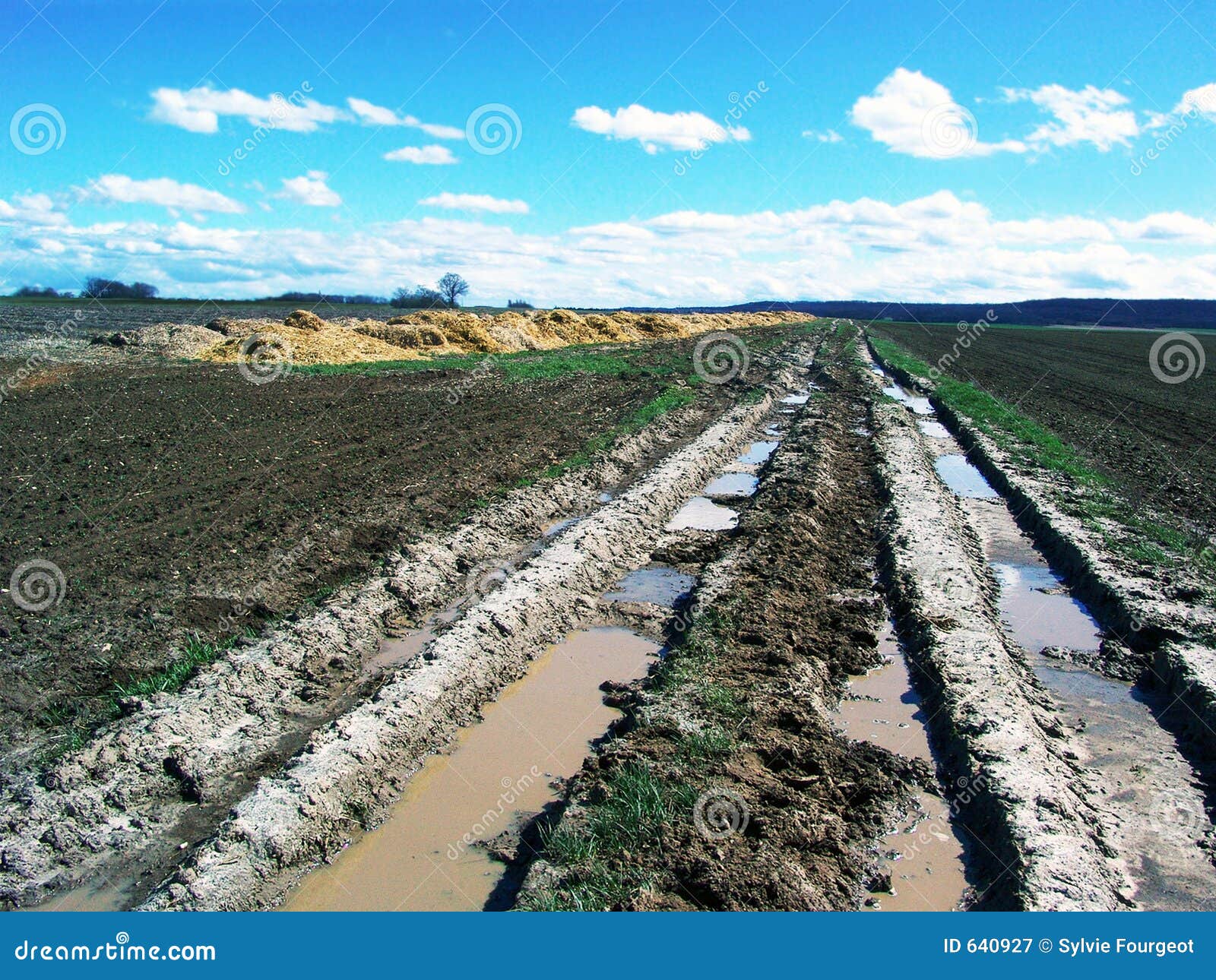 Muddy track in countryside stock image. Image of track - 640927