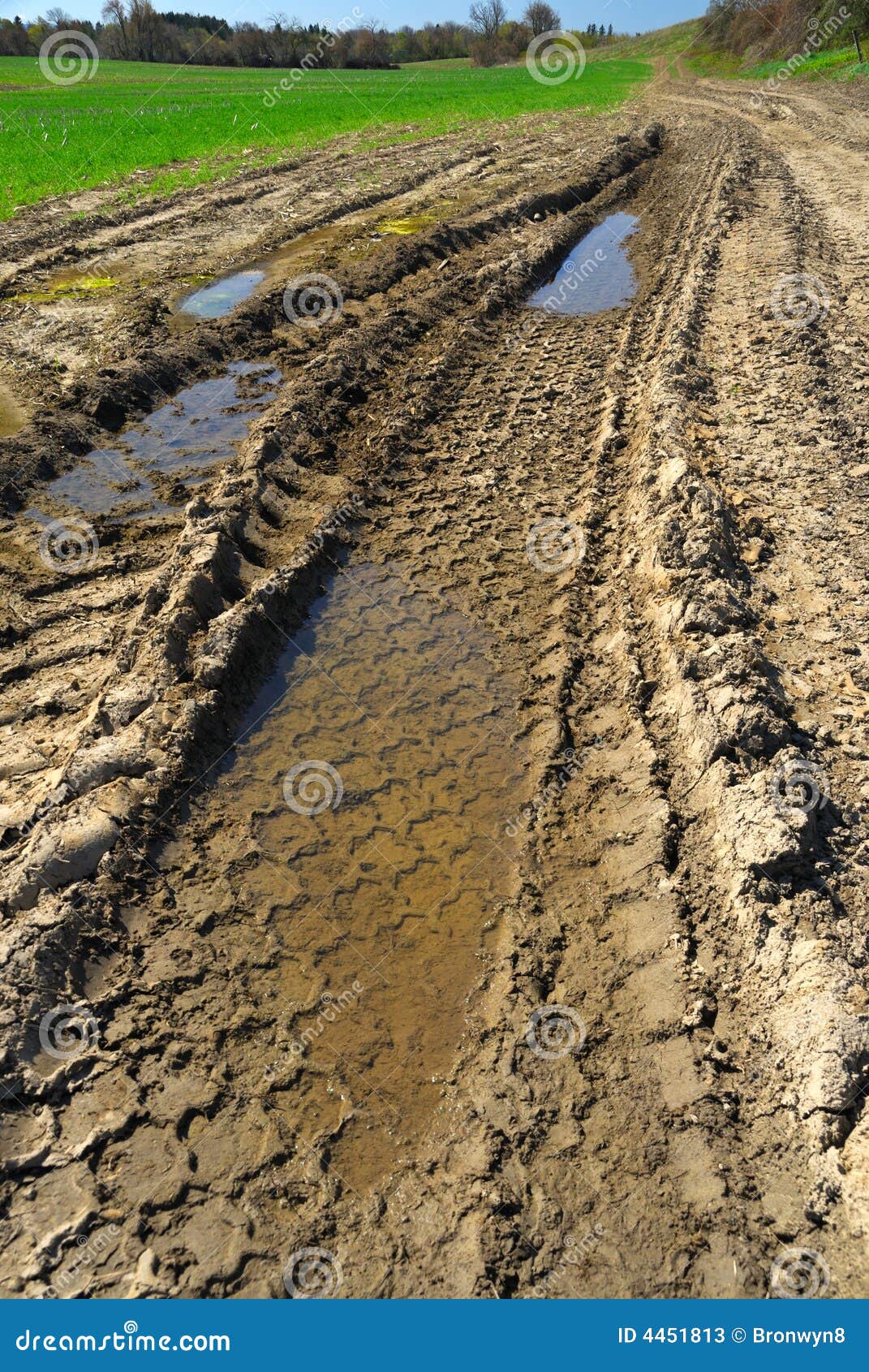 Muddy tracks stock image. Image of rural, summer, tread - 4451813
