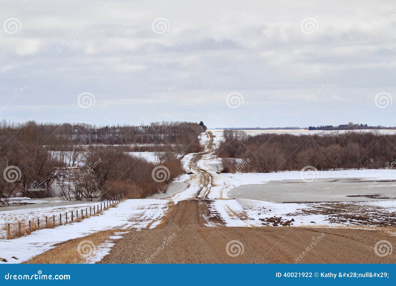 Muddy trail stock photo. Image of forest, spring, tracks - 40021922