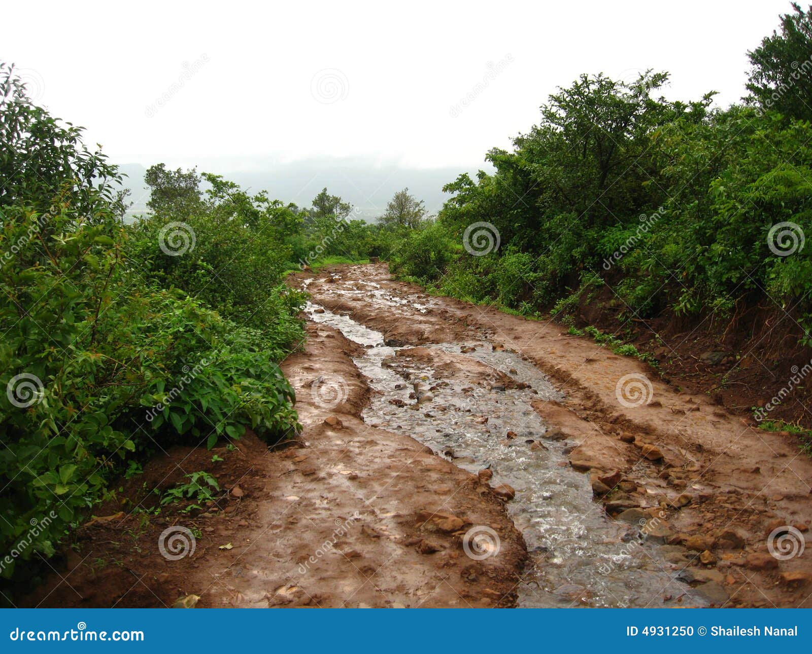 Muddy Village Road stock photo. Image of road, seasonal - 4931250
