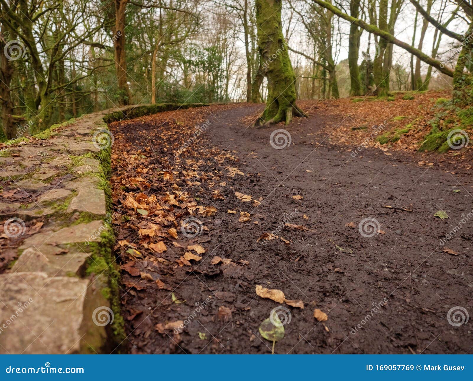 Muddy Walking Path in a Park, Nobody, Low Angle, Selective Focus Stock ...