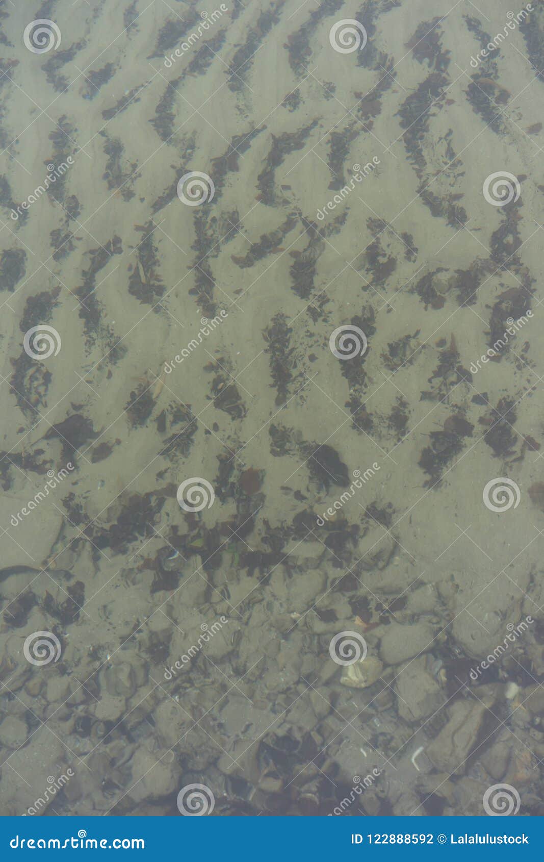 Muddy water close up view stock photo. Image of grunge - 122888592