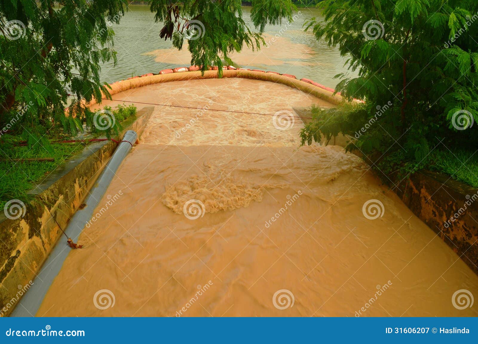 Muddy Water after Rain imagem de stock. Imagem de ambiente - 31606207