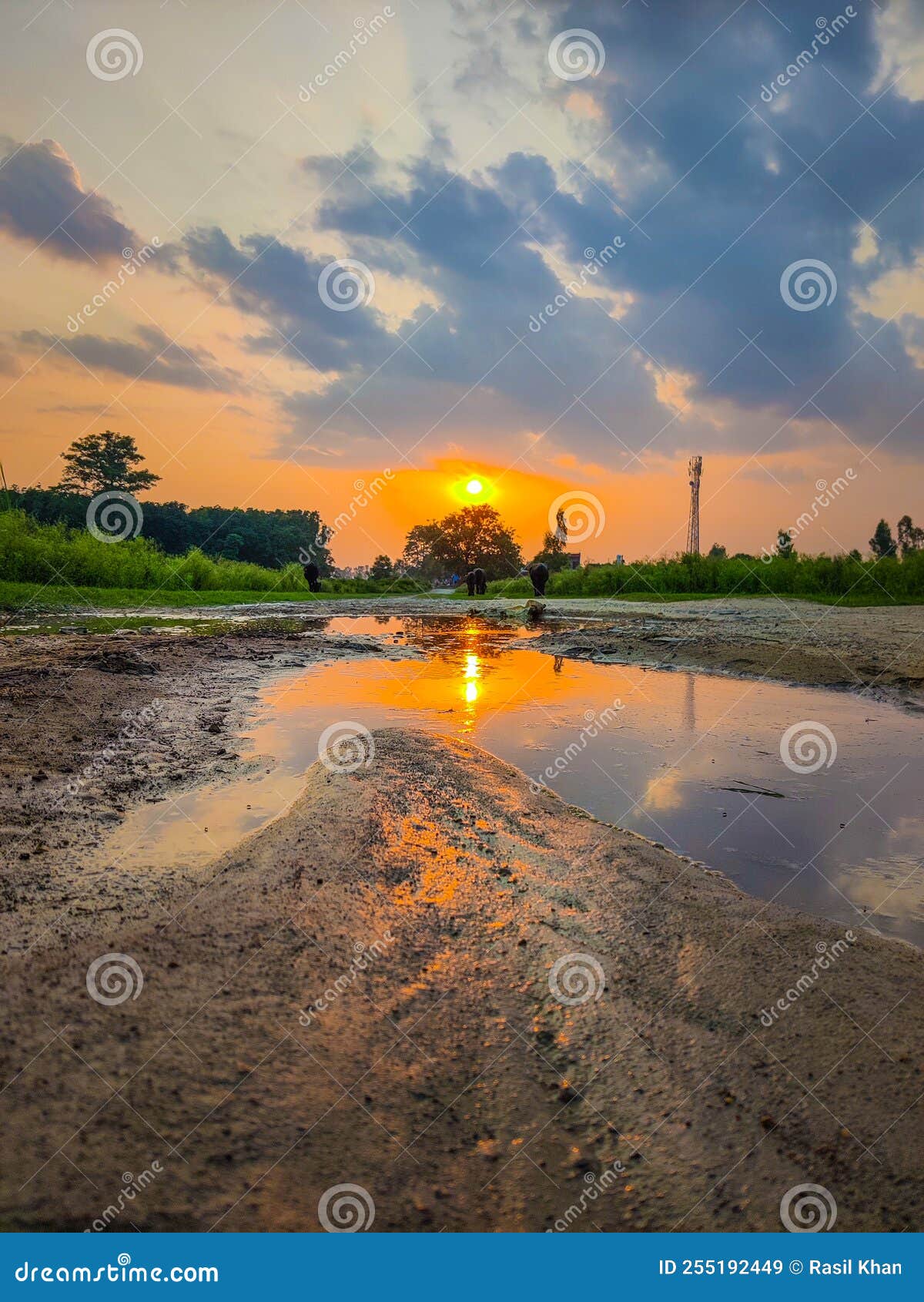 Muddy Water Reflection Village Path Sunset Photography Stock Image ...