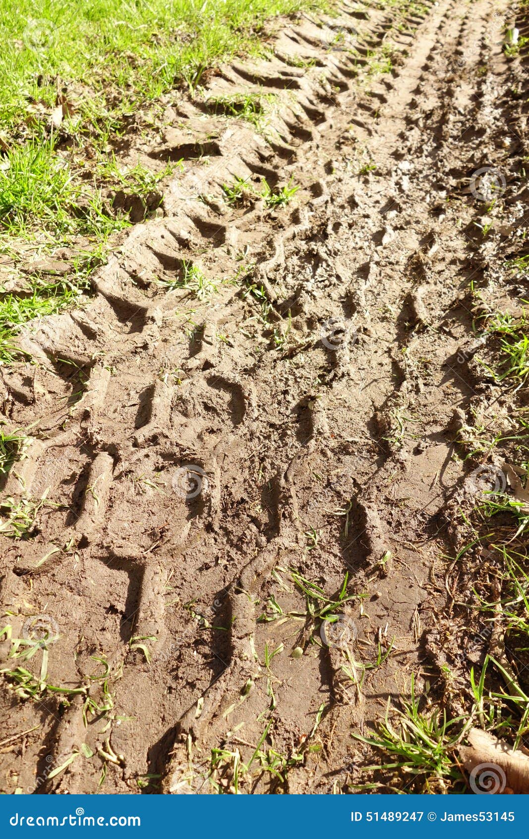 Muddy Wheel Track stock image. Image of disappearing - 51489247