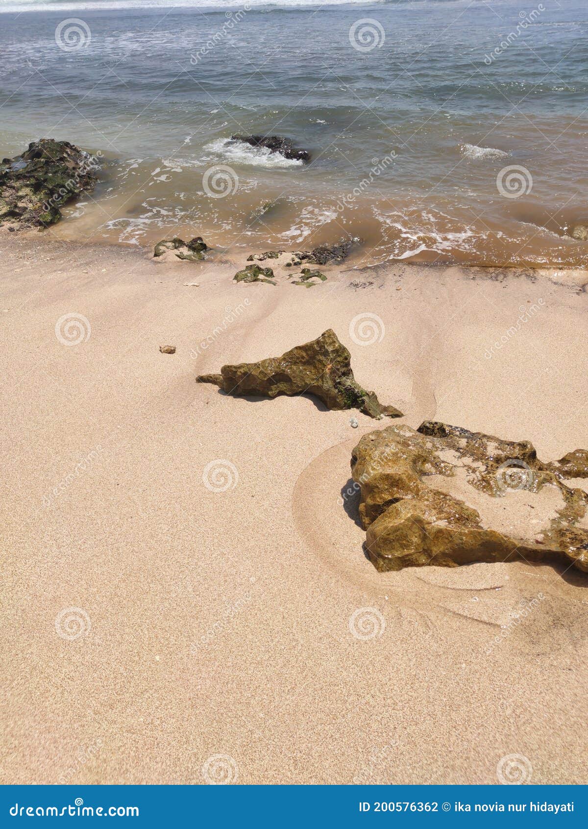 Mudflat, Wildlife, Ocean, Waves in the Beach Stock Photo - Image of ...