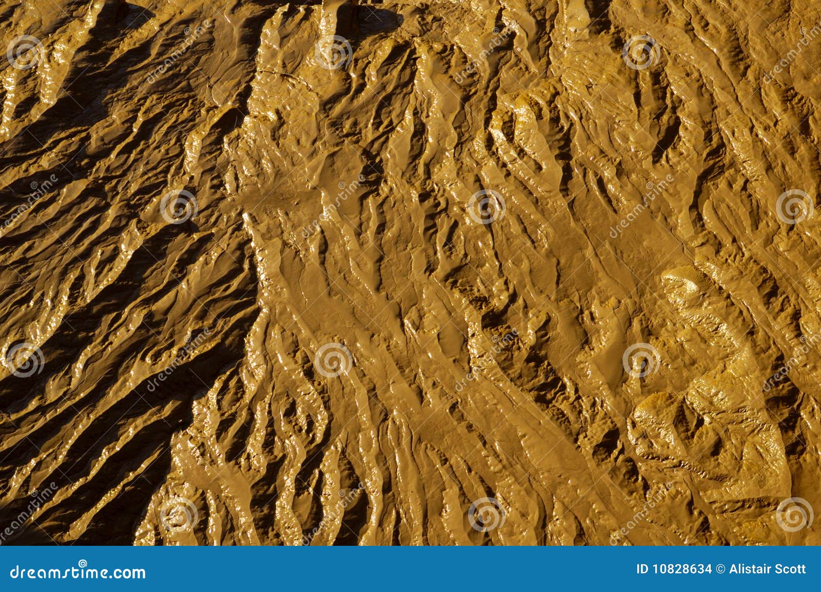 Mudflats stock photo. Image of brown, design, geology - 10828634