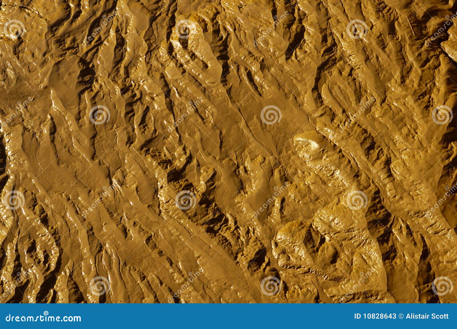 Mudflats stock image. Image of sand, natural, macro, flats - 10828643
