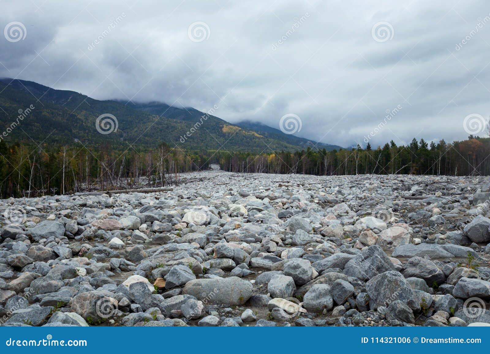Mudflow, Debris Flow Channel of the Inflow Stock Photo - Image of ...