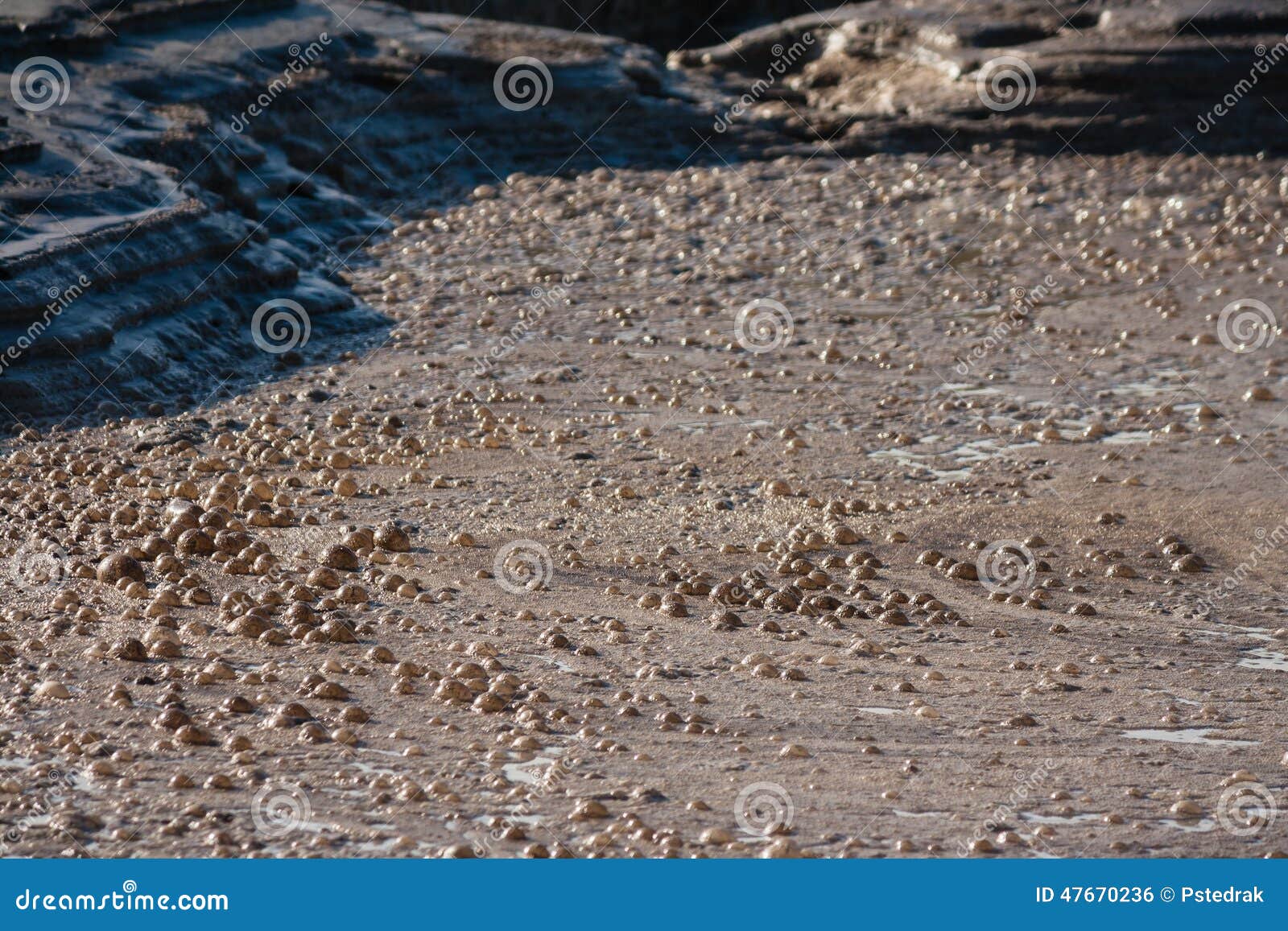 Mudpot with Bubbling Mud in Rotorua Stock Photo - Image of geothermal ...