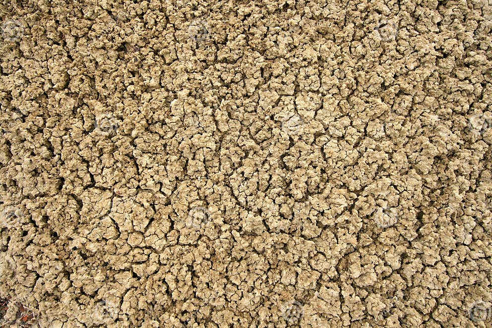 Mudstone stock photo. Image of provincial, park, popcorn - 10588650