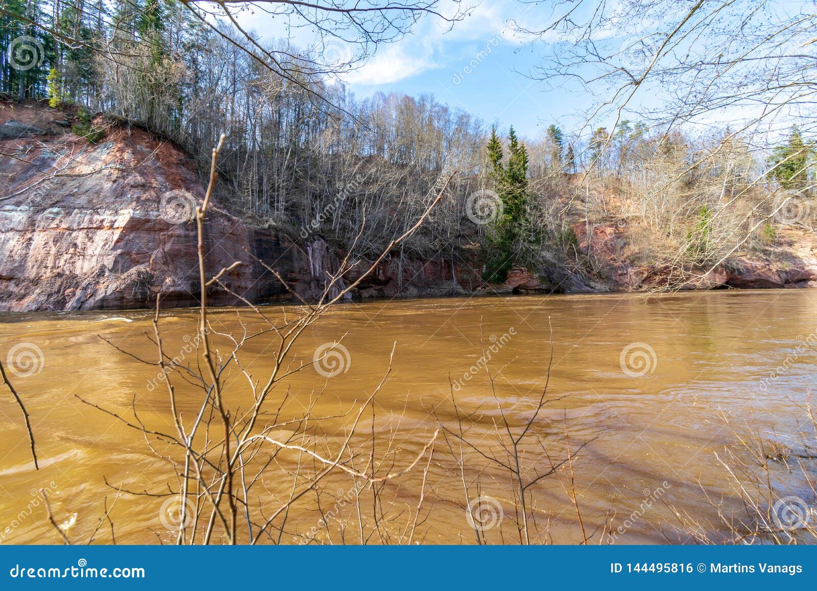 Mudy Brown Spring Water Flow In Forest River Royalty-Free Stock Photo ...