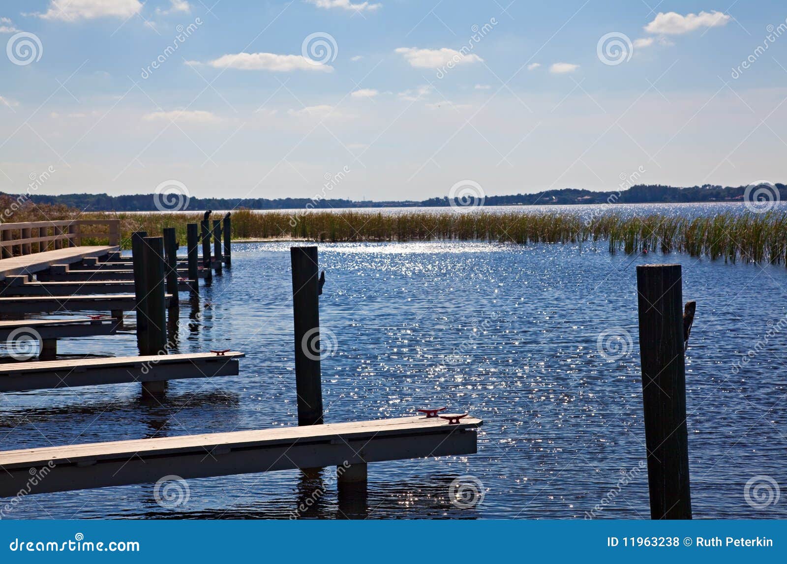 Muelle Del Barco En El Lago Florida Foto de archivo - Imagen de puerto ...