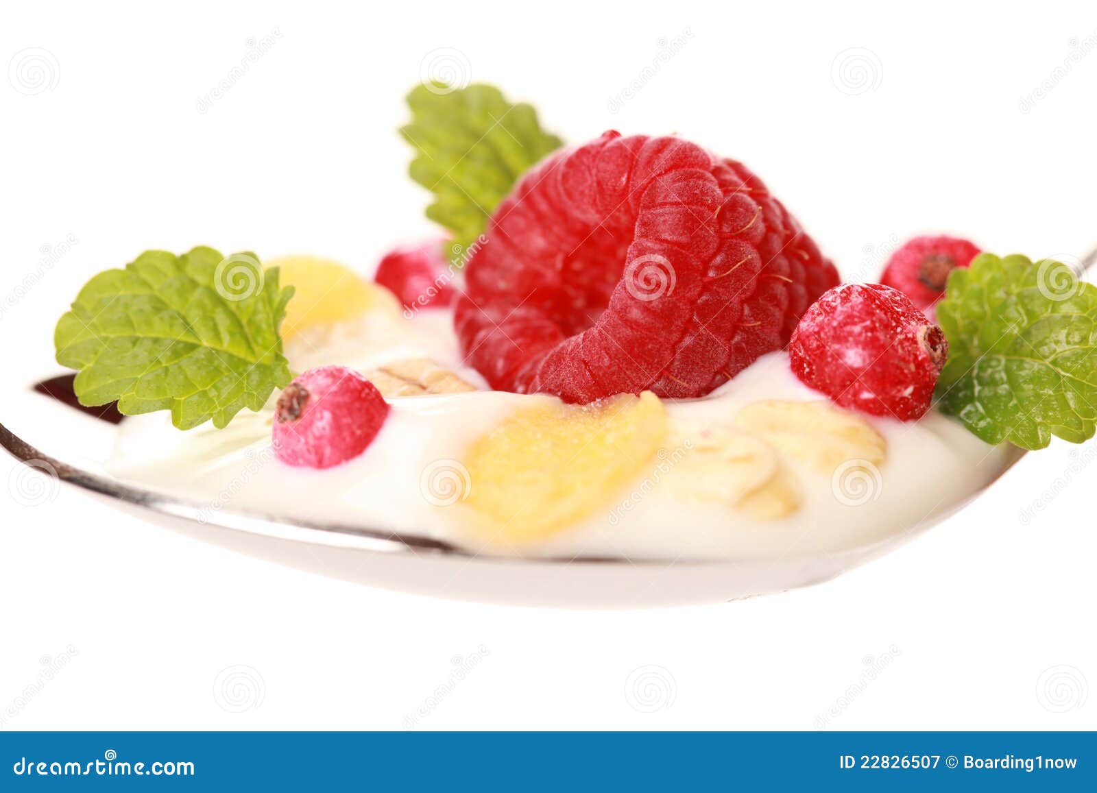 Muesli for breakfast stock image. Image of flakes, fresh - 22826507